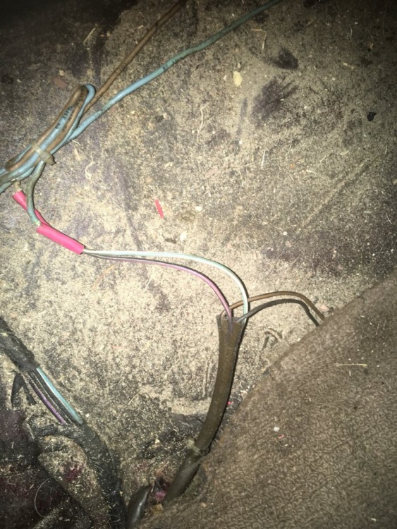 Reverse light wiring |﻿ BMW 2002 and other '02