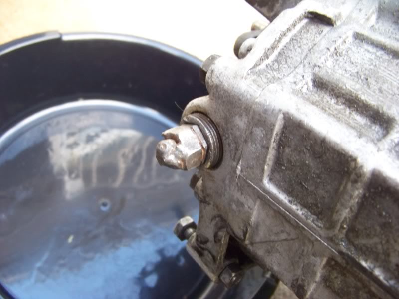 getrag 245 drain plug size |﻿ BMW 2002 and other '02