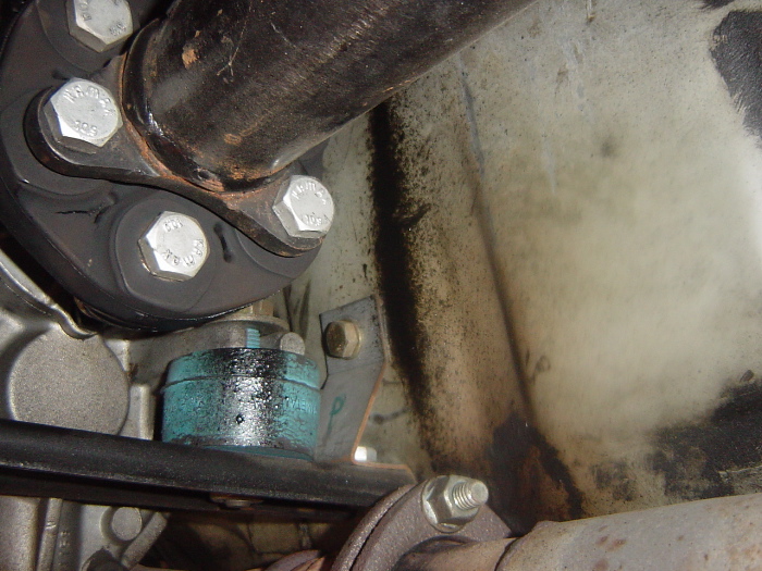 what's up with my guibo? |﻿ BMW 2002 and other '02