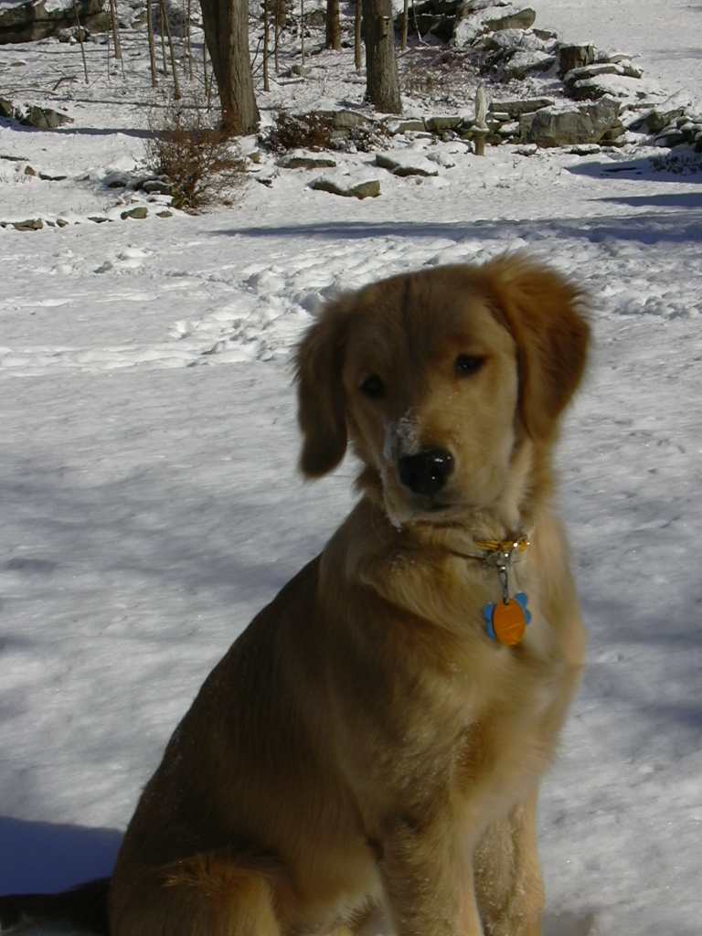 Chris Willet's carpet kit installed today |﻿ BMW 2002 and other '02