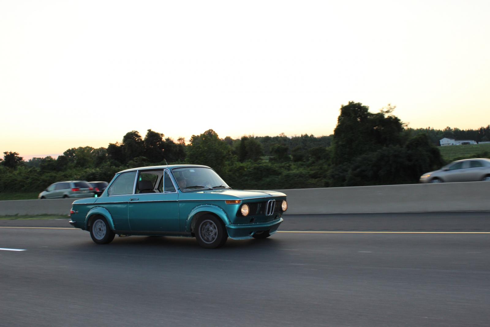 Turkis (Toothless) - Page 3 |﻿ Project Blogs - Archive