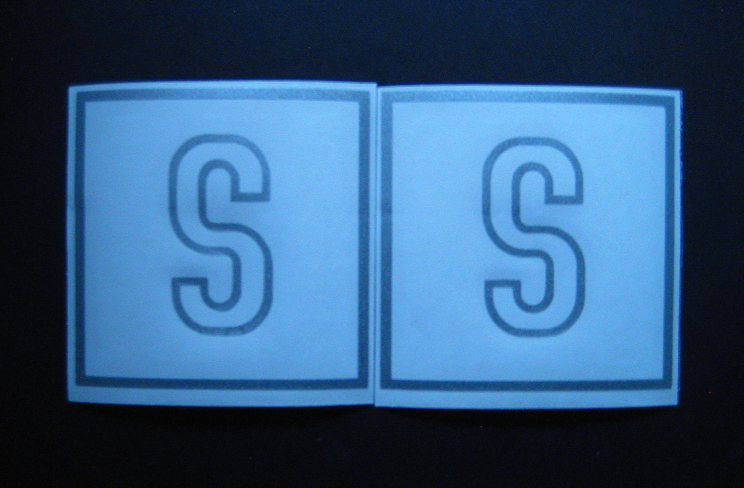 LSD 'S' Stencil |﻿ BMW 2002 and other '02