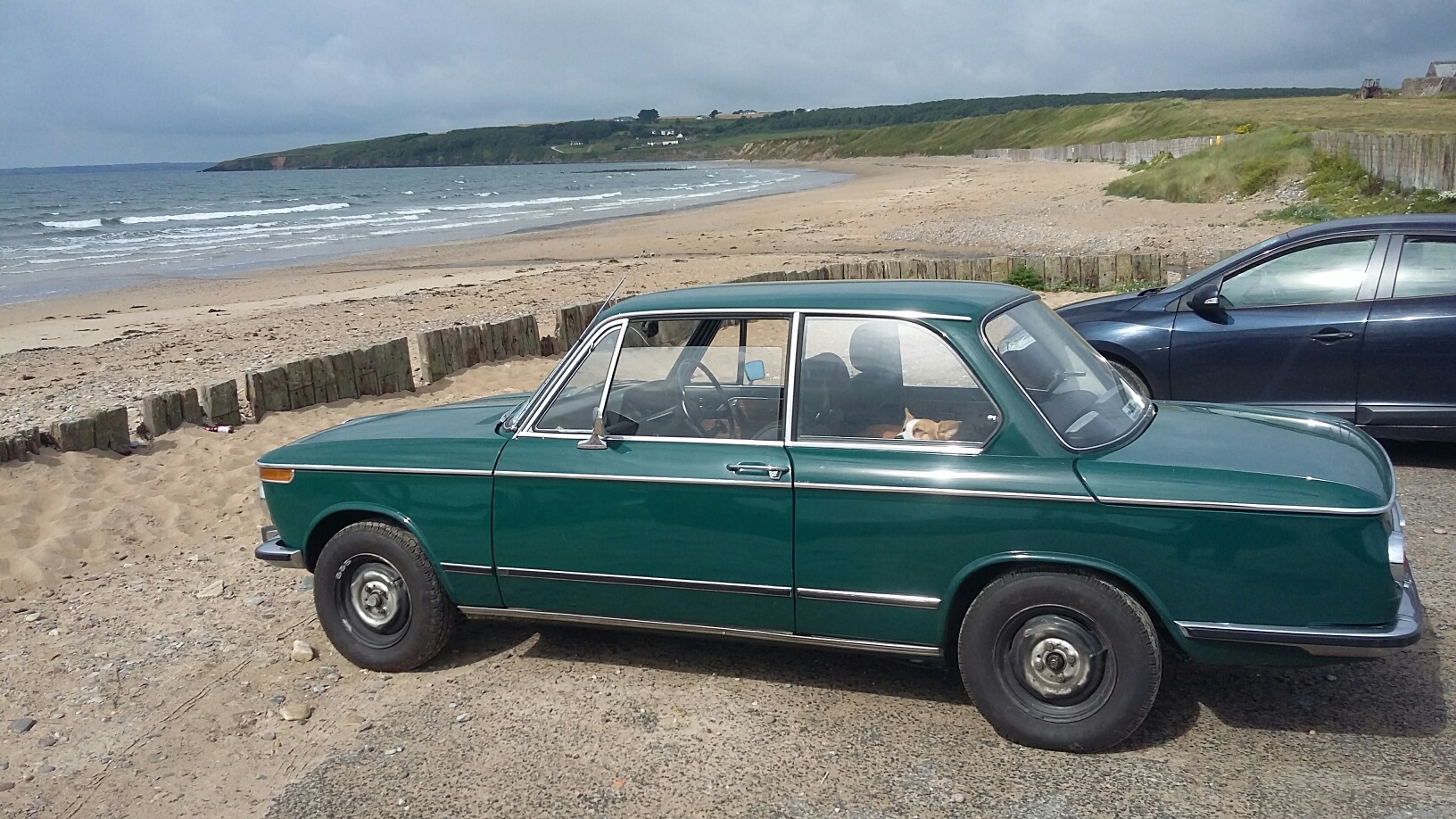 who has an agave 2002 and share your thoughts on the color - Page 2 ...