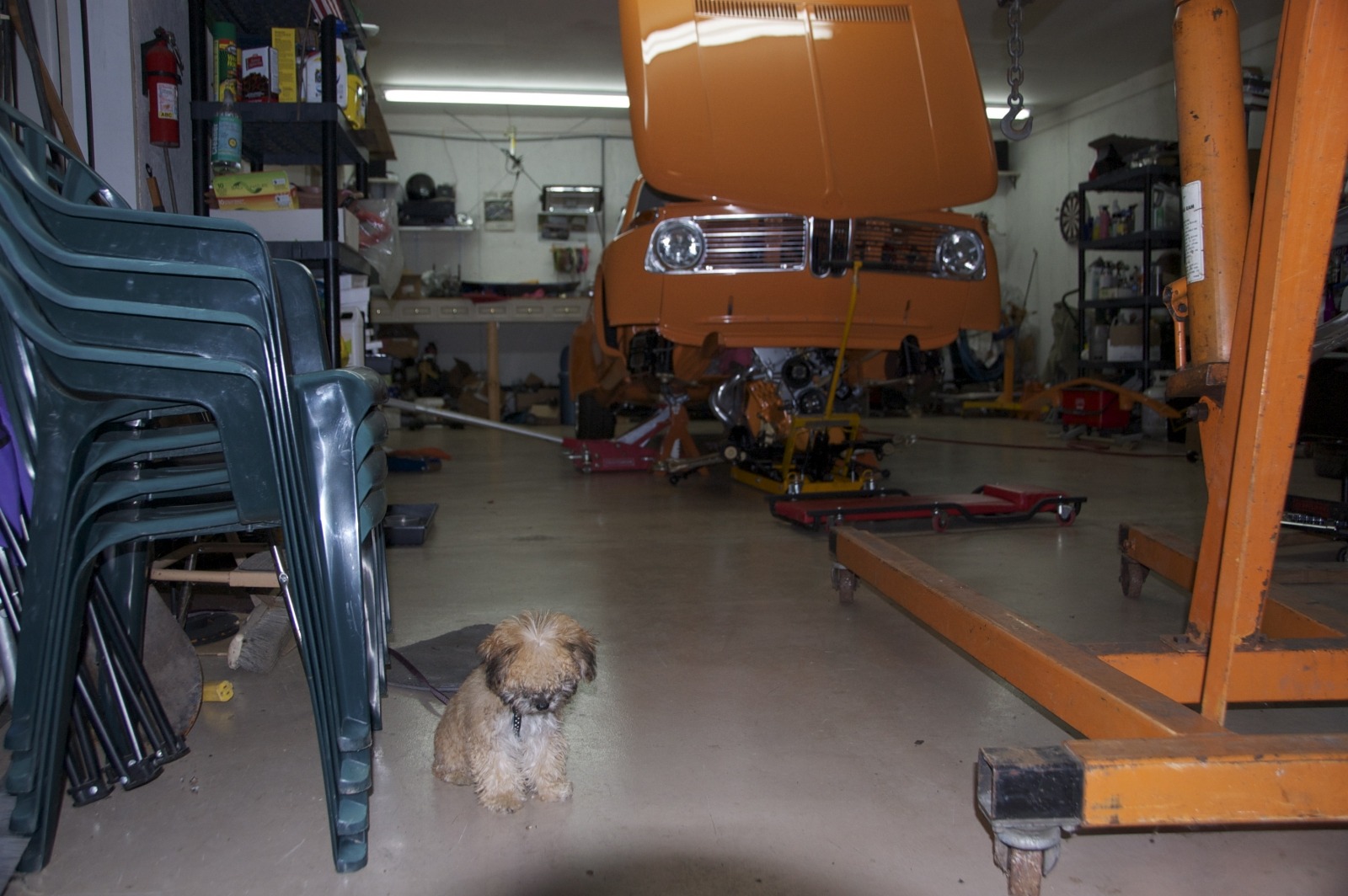 Harv's Cars - BMW 2002 FAQ