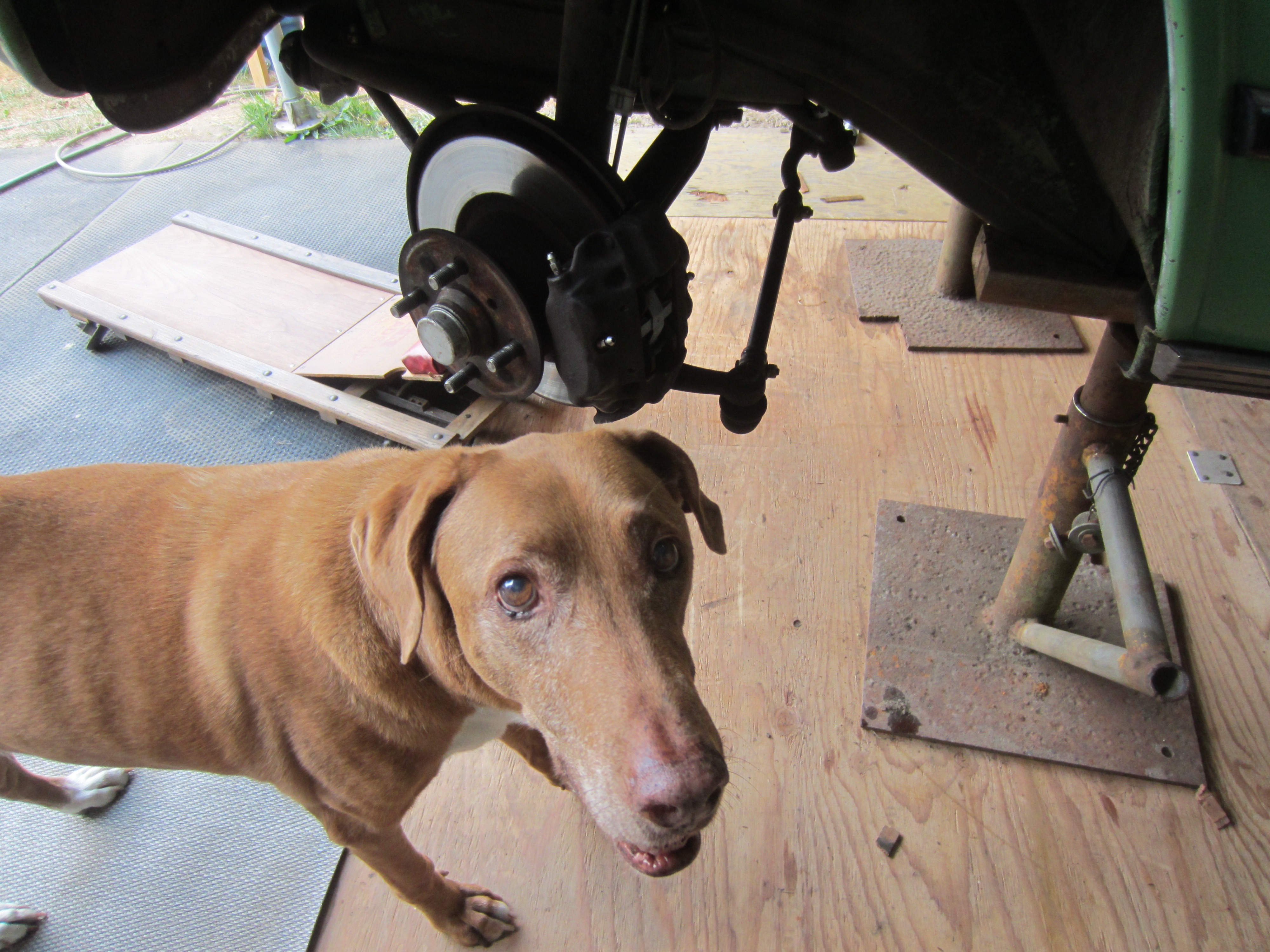 Hard getting into gear - Page 2 |﻿ BMW 2002 and other '02