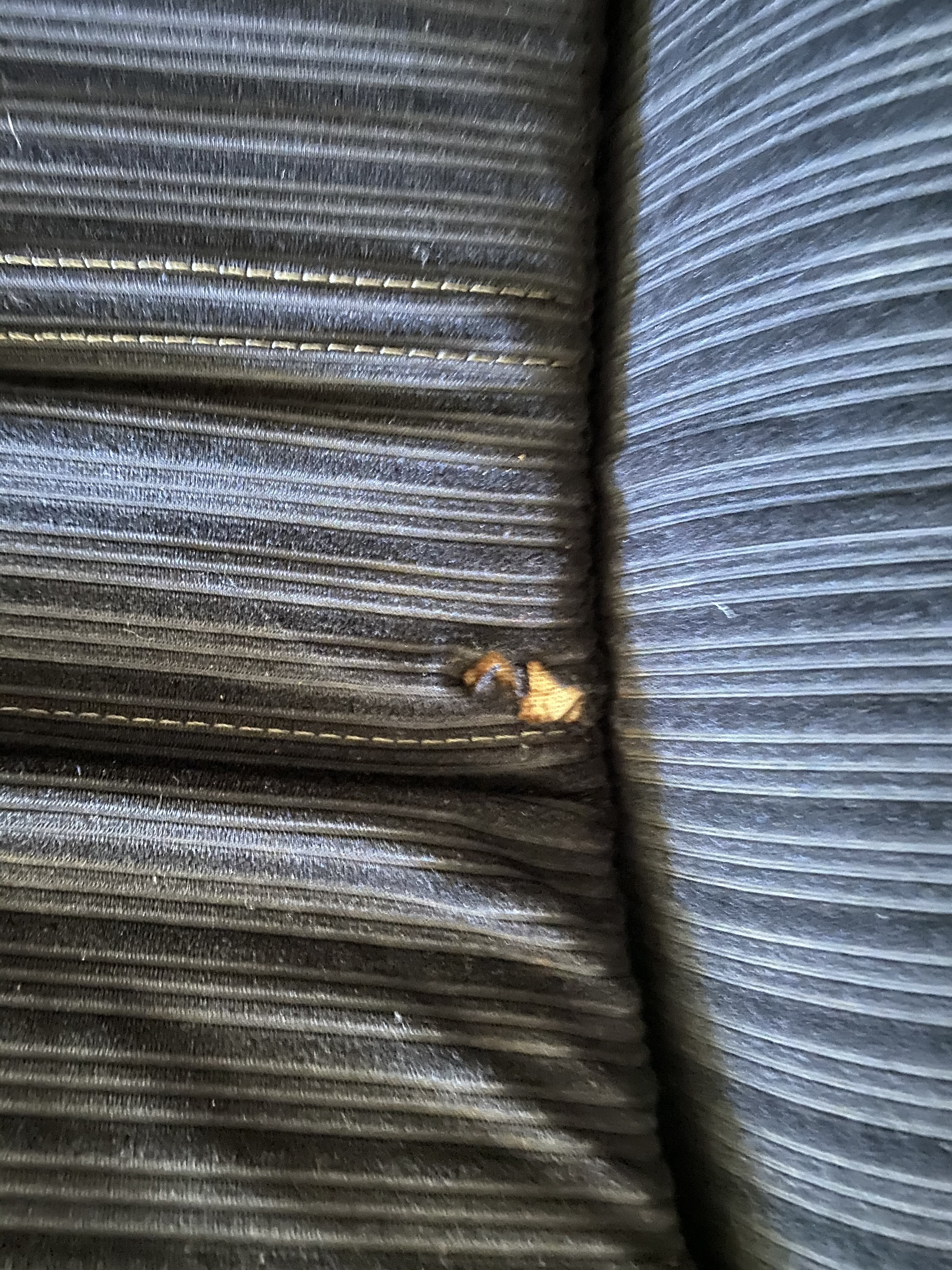 Scheelman seats |﻿ Miscellaneous