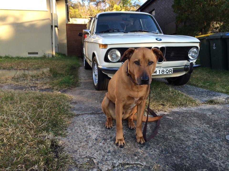 Spotted Clean Agave Green 72 in NYC-FDR Drive Traffic |﻿ BMW 2002 and ...