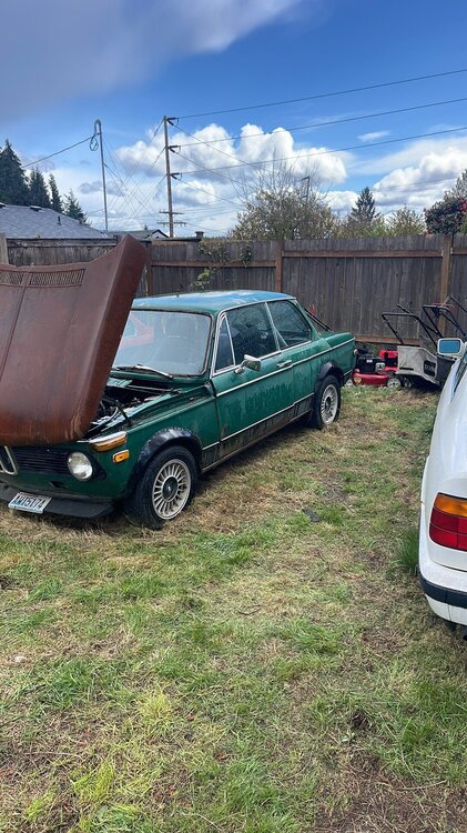 WTB hood and drivers door (preferably jade green) |﻿ Miscellaneous