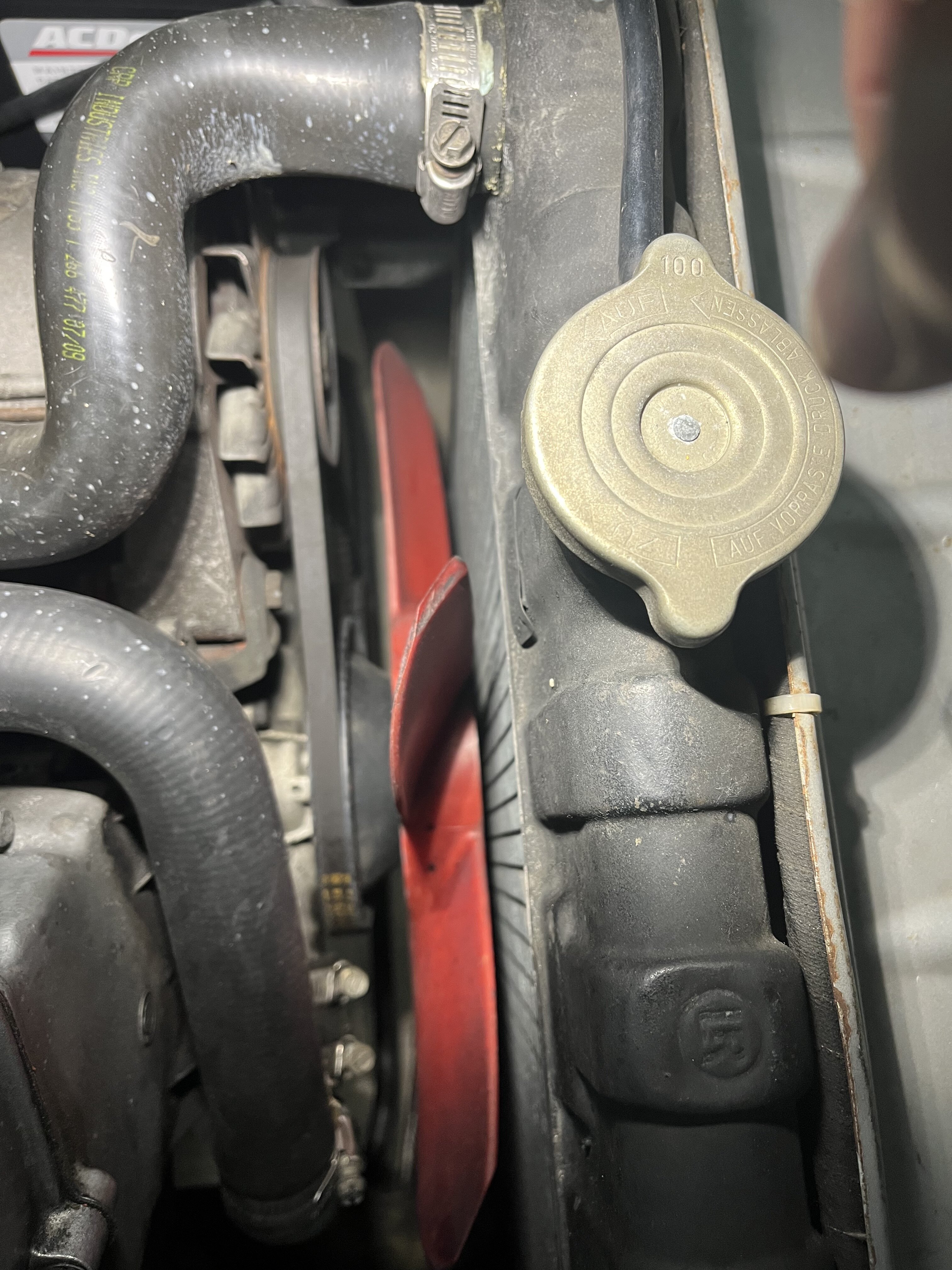 Help Identify this noise - Timing chain? |﻿ BMW 2002 and other '02