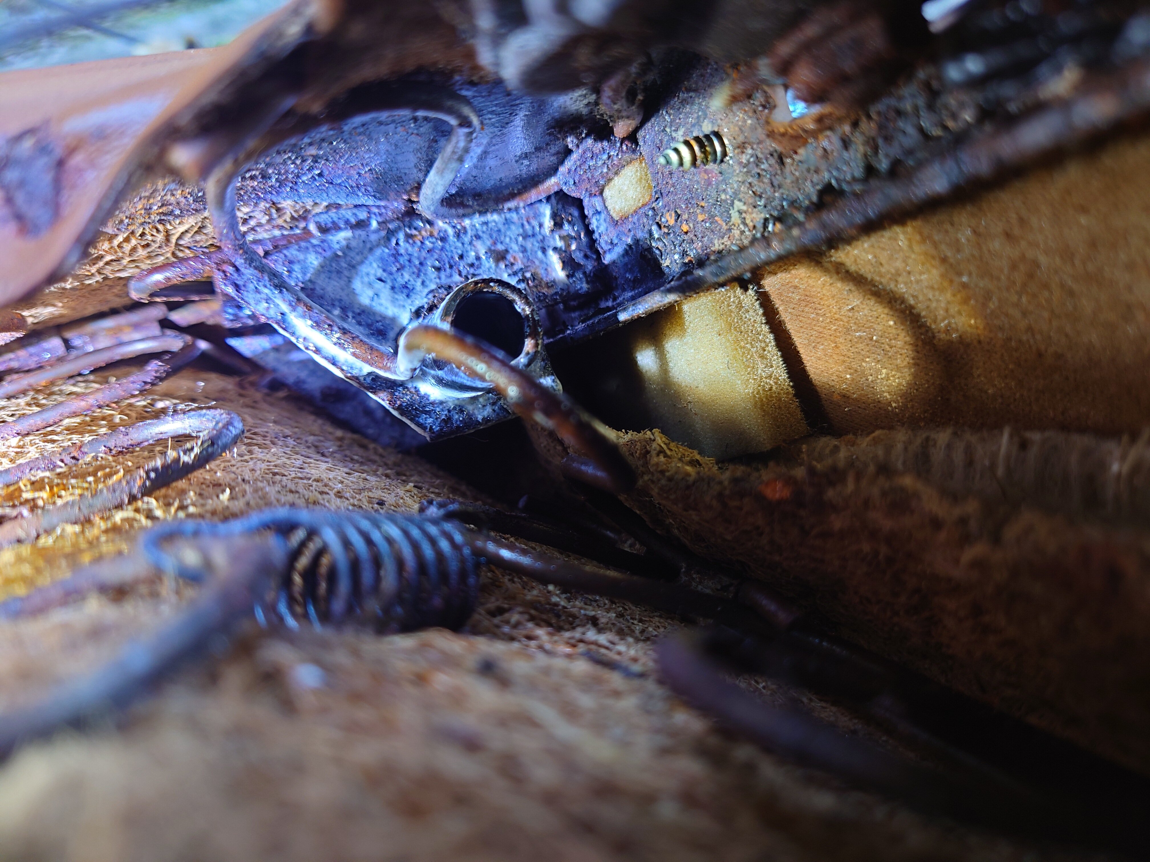 Installing headrests |﻿ BMW 2002 and other '02