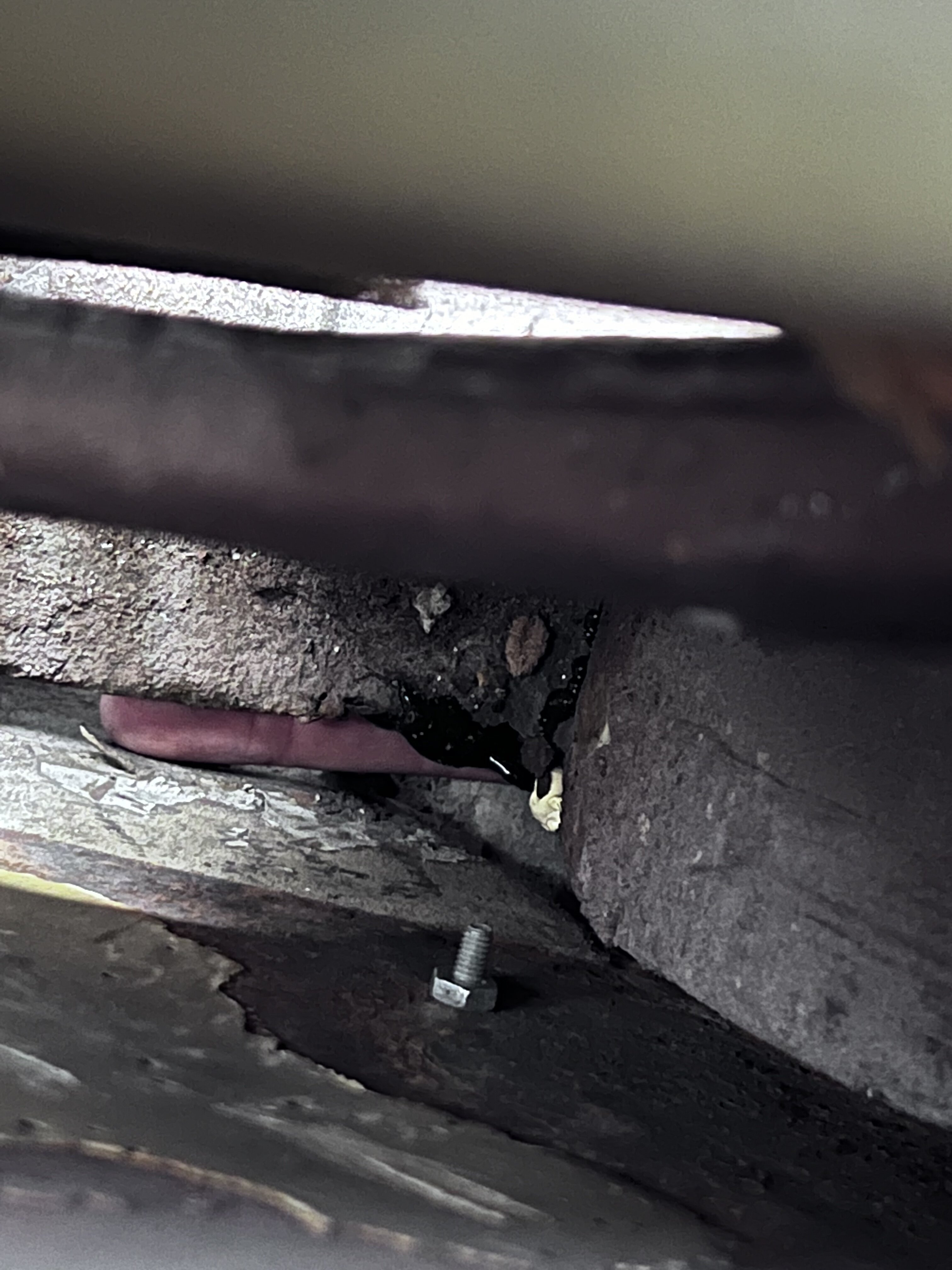 Trunk Floor Gap/Rust |﻿ BMW 2002 and other '02