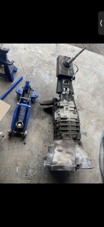 getrag 245 5 speed transmission |﻿ Engine and Drivetrain