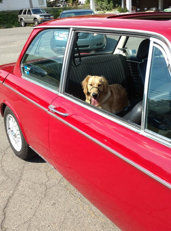 where's Waldo? (hobie Dave) - BMW 2002 and other '02 - 2002FAQ