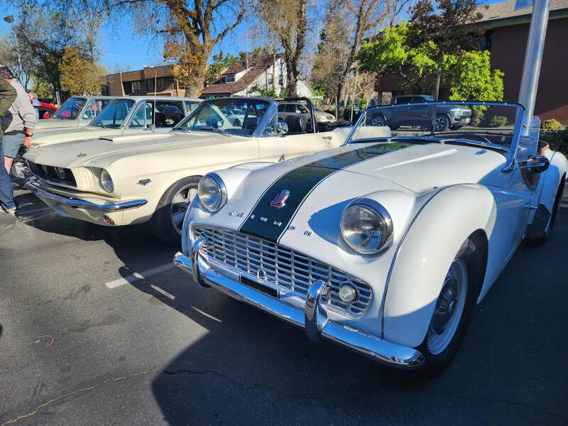 Photos from the Shamrock Rally |﻿ BMW 2002 and other '02