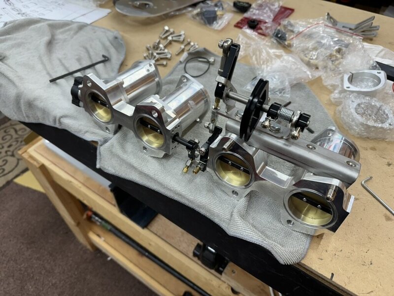 ITBs have arrived! |﻿ Verona Tii+