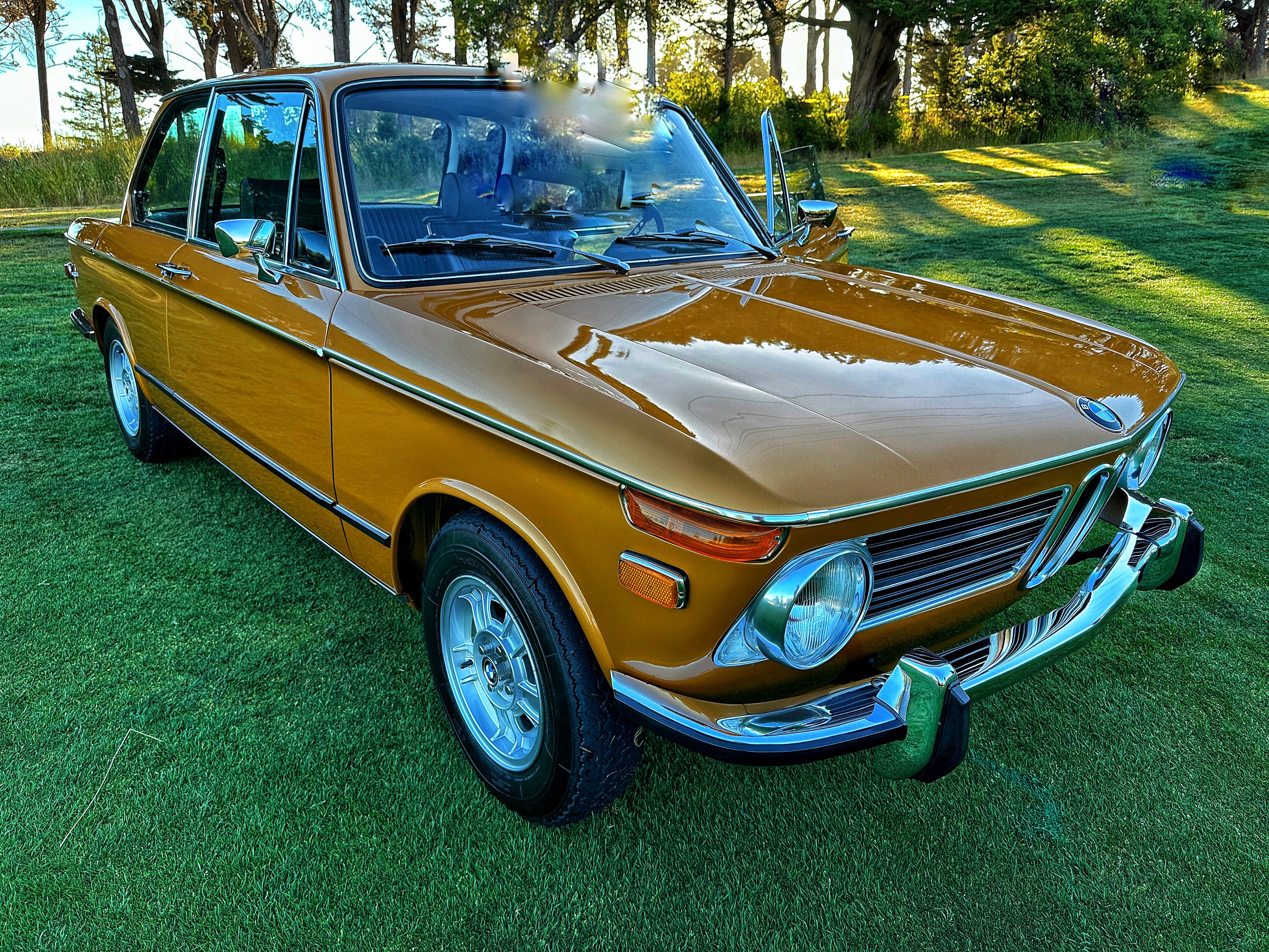 Hillsborough Concours d’ Elegance - BMW 2002 and other '02 - 2002FAQ