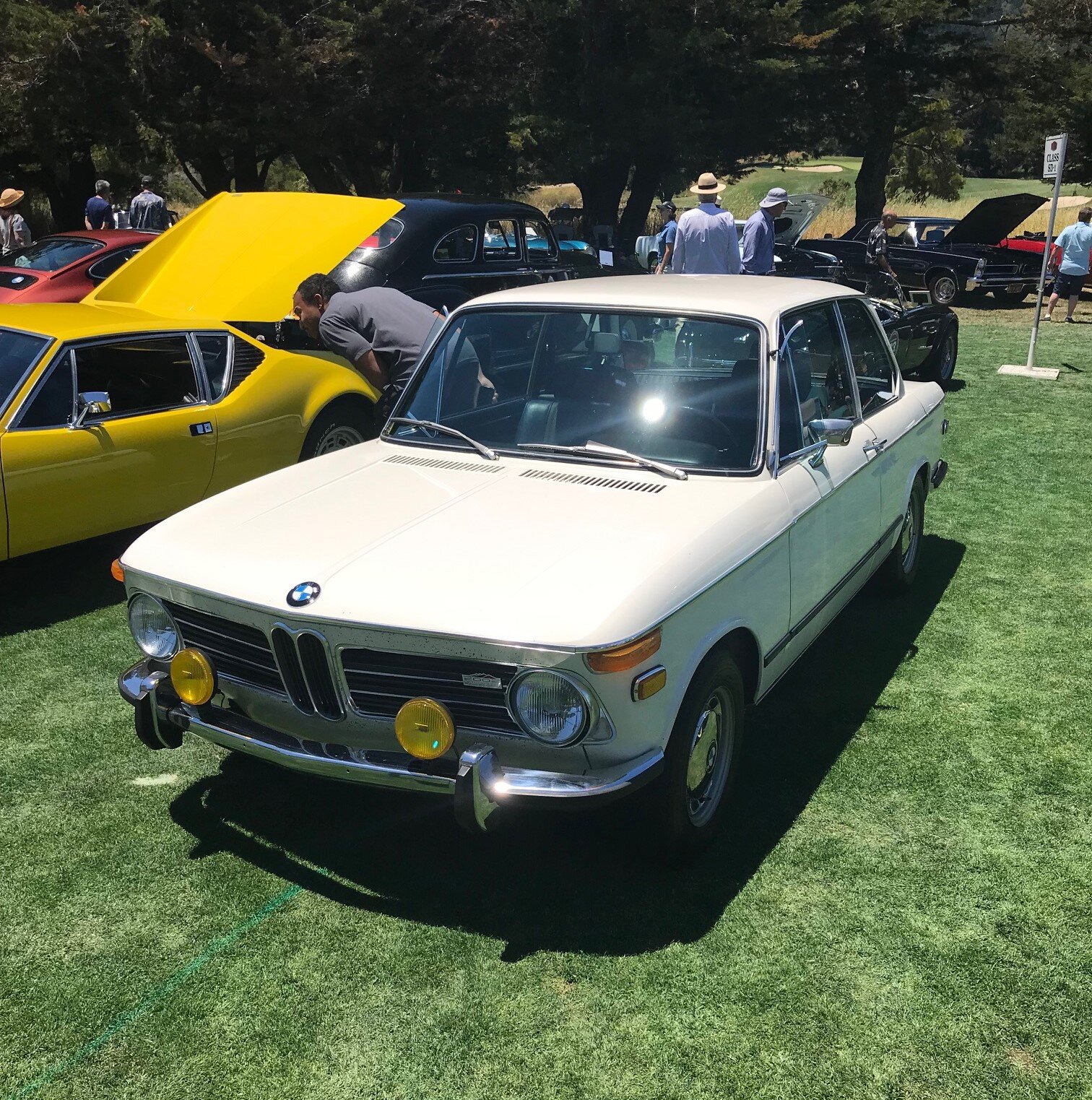 Hillsborough Concours d’ Elegance |﻿ BMW 2002 and other '02