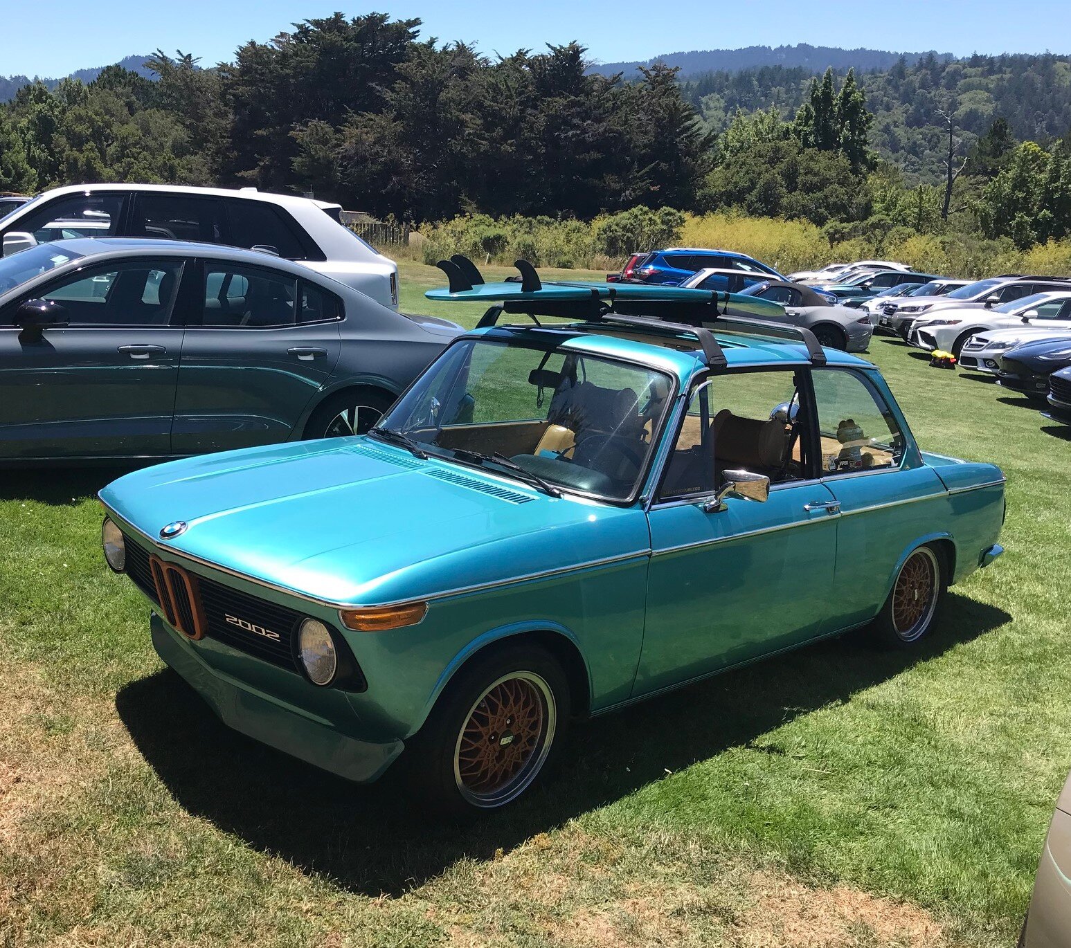 Hillsborough Concours d’ Elegance - BMW 2002 and other '02 - 2002FAQ