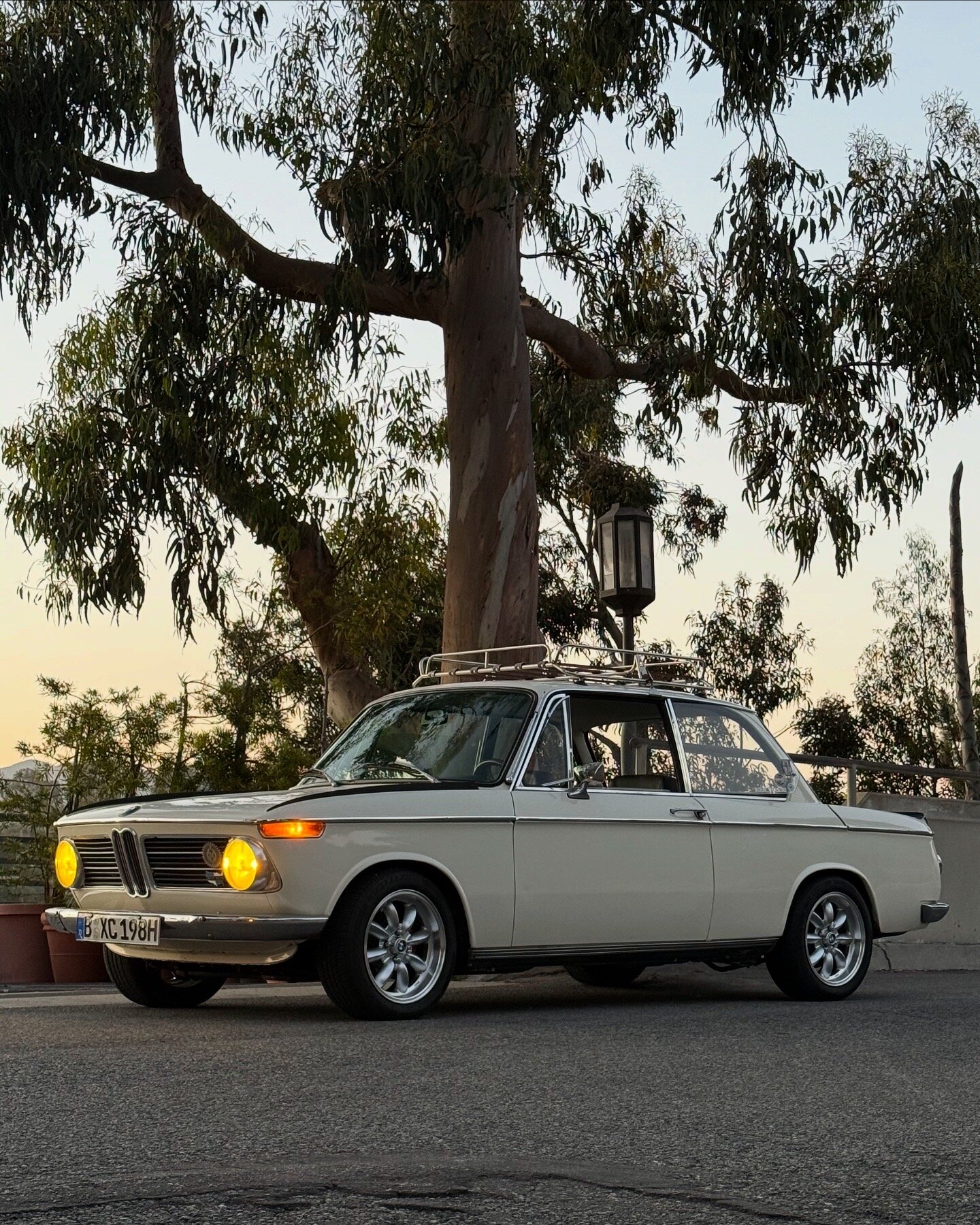 To tint or not to tint? That is the question. - BMW 2002 and other '02 ...